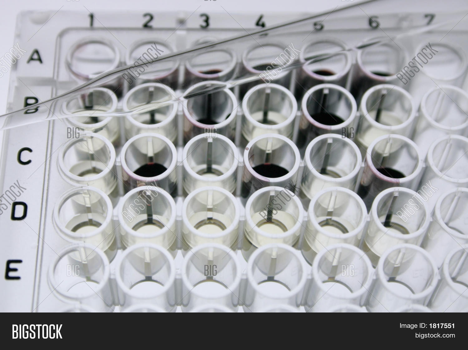 Elisa Plate Image & Photo (Free Trial) | Bigstock