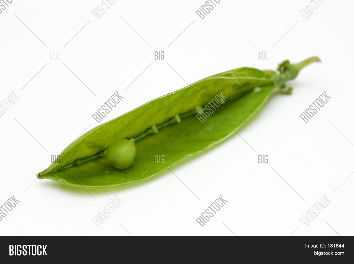 Single Pea Pod Image & Photo (Free Trial) | Bigstock