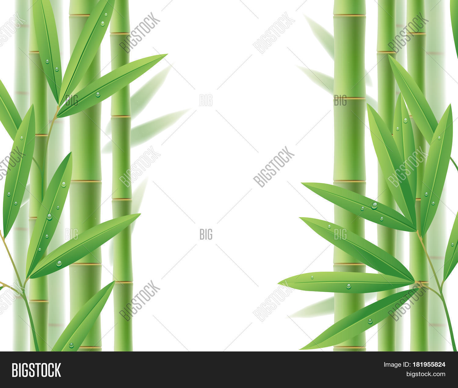 Green Bamboo Frame Image & Photo (Free Trial) | Bigstock