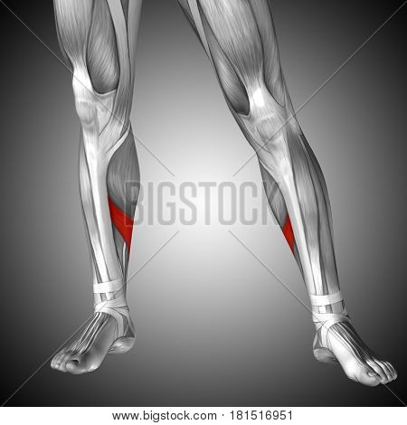 Concept Conceptual 3D Image & Photo (Free Trial) | Bigstock