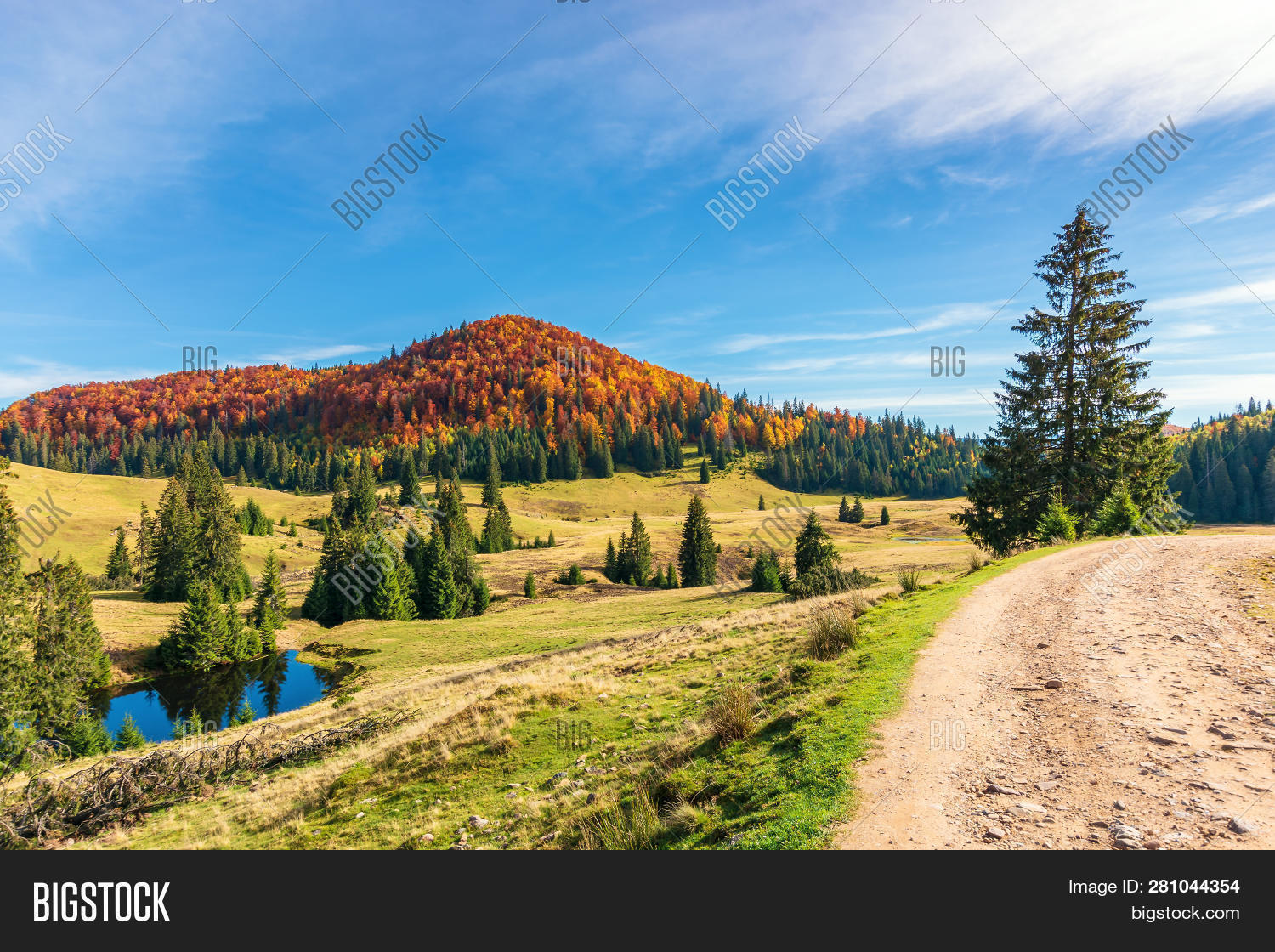 Sunny Forenoon Autumn Image & Photo (Free Trial) | Bigstock