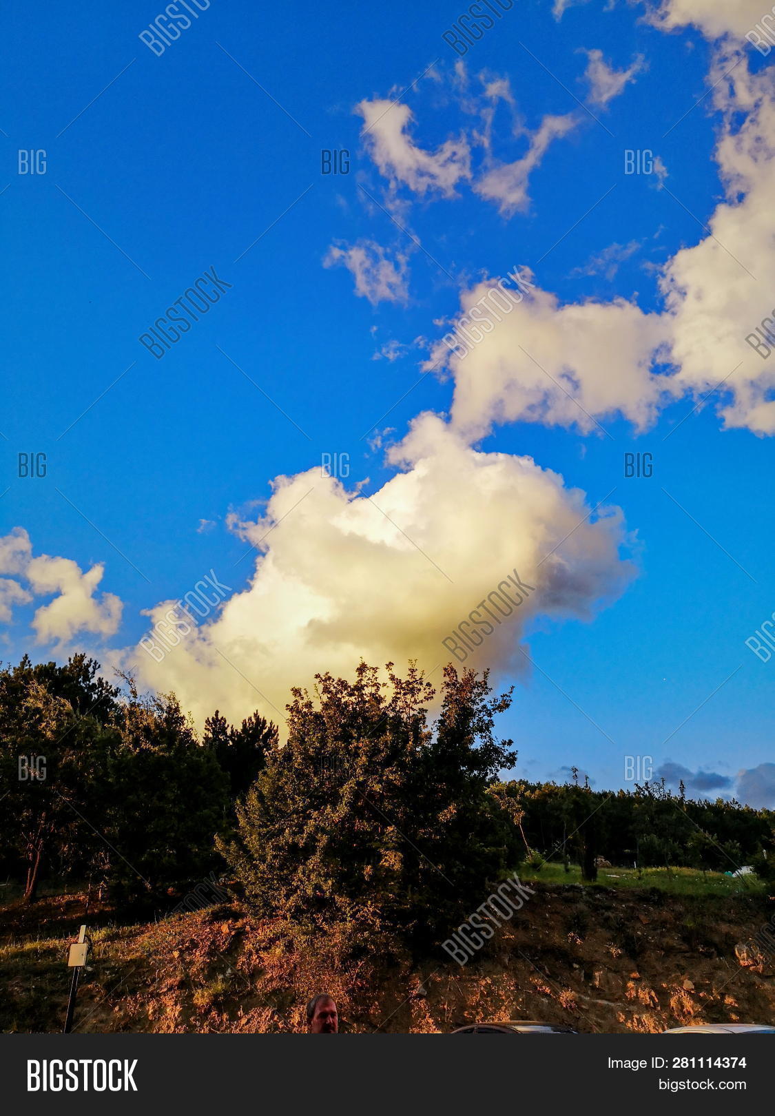 Sky Cloud Tree Plant Image & Photo (Free Trial) | Bigstock