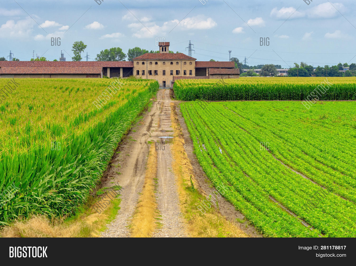 Rural Landscape Summer Image & Photo (Free Trial) | Bigstock