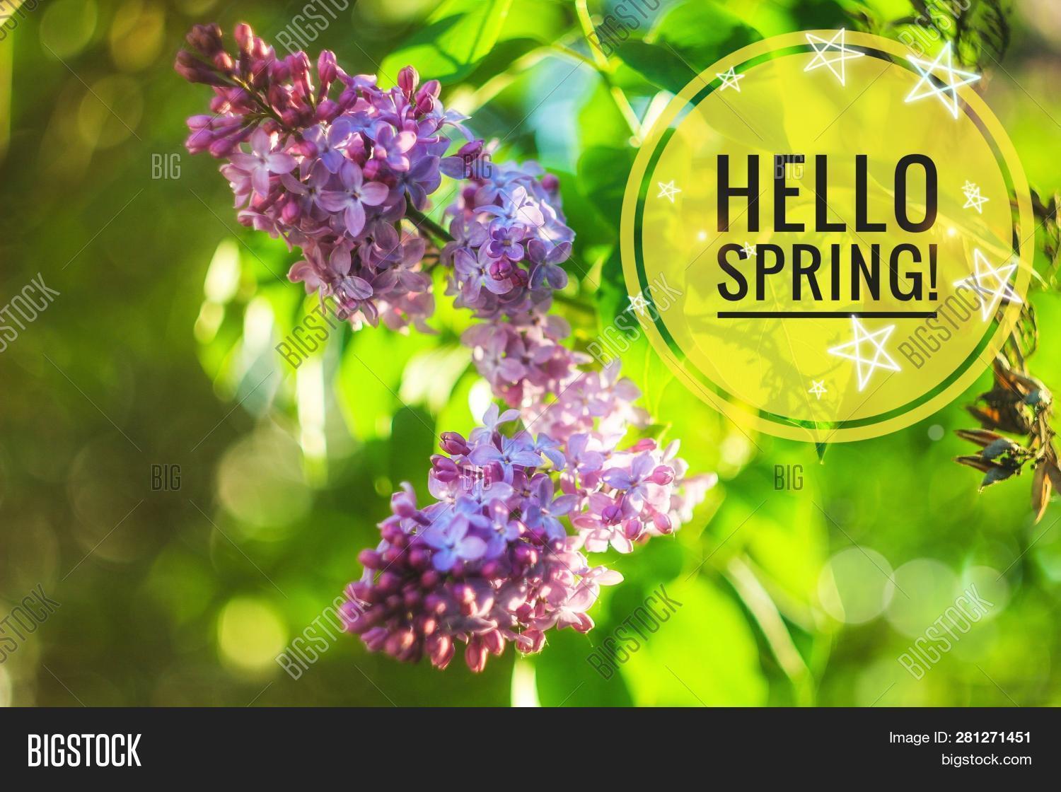 Hello Spring Banner . Image & Photo (Free Trial) | Bigstock