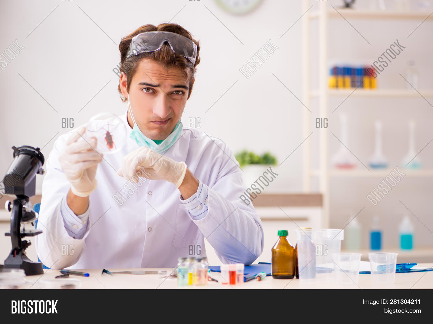 Male Entomologist Image & Photo (Free Trial) | Bigstock