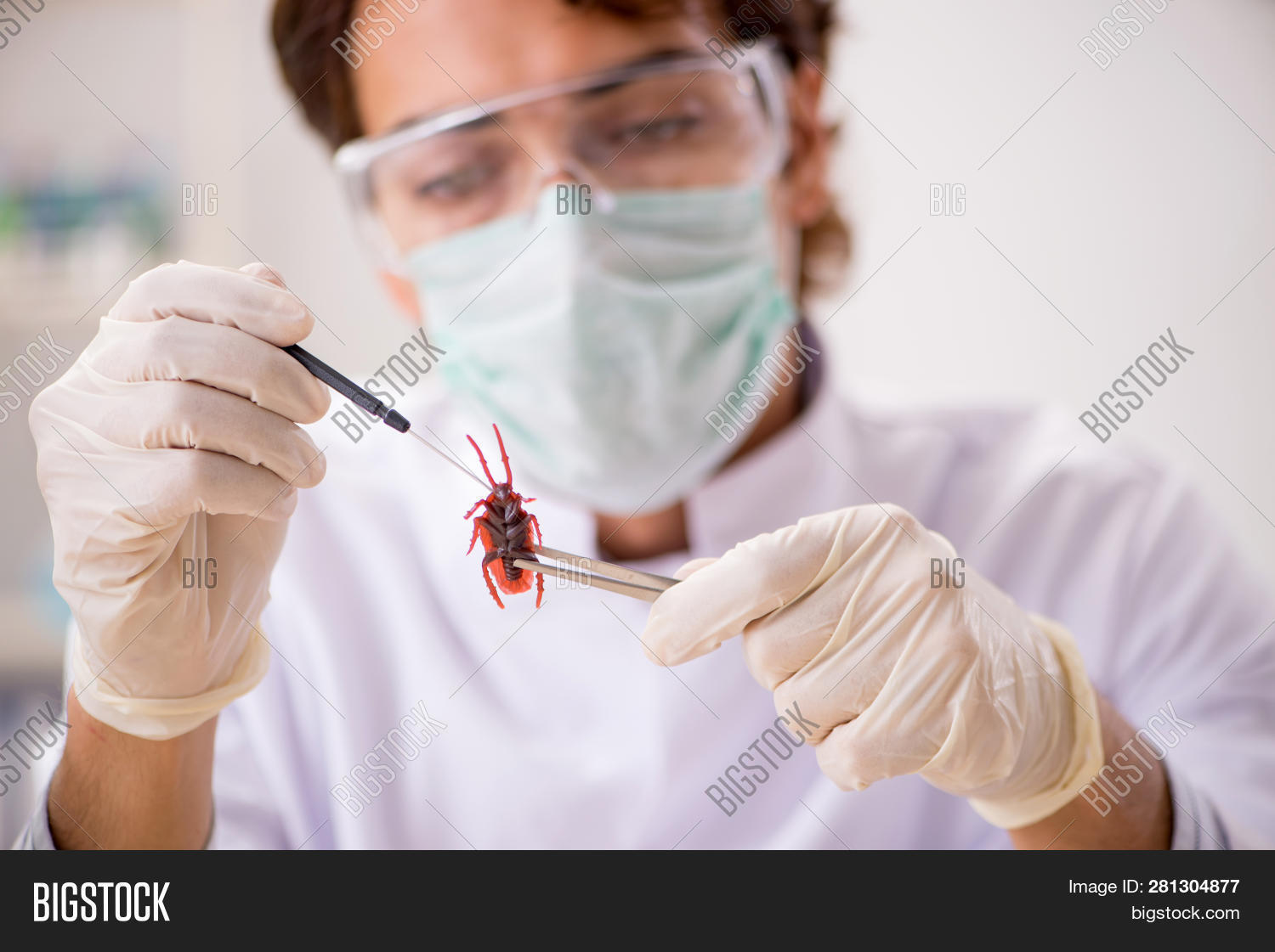 Male Entomologist Image & Photo (Free Trial) | Bigstock