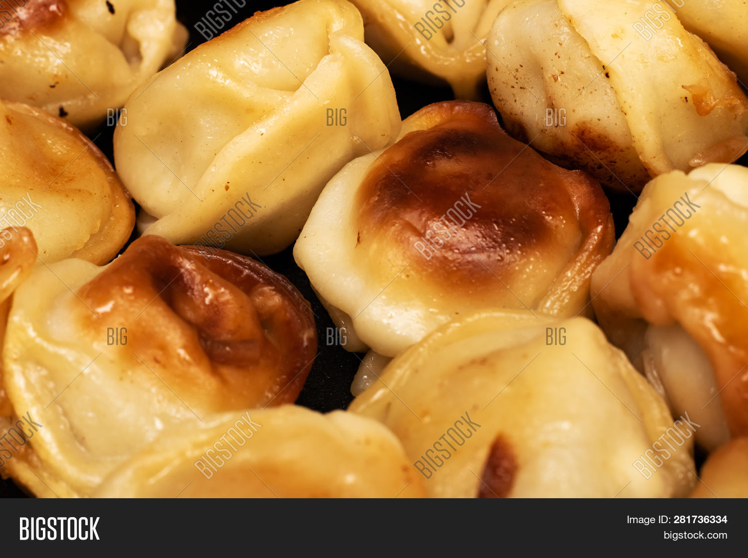 Fried Dumplings Close Image & Photo (Free Trial) | Bigstock
