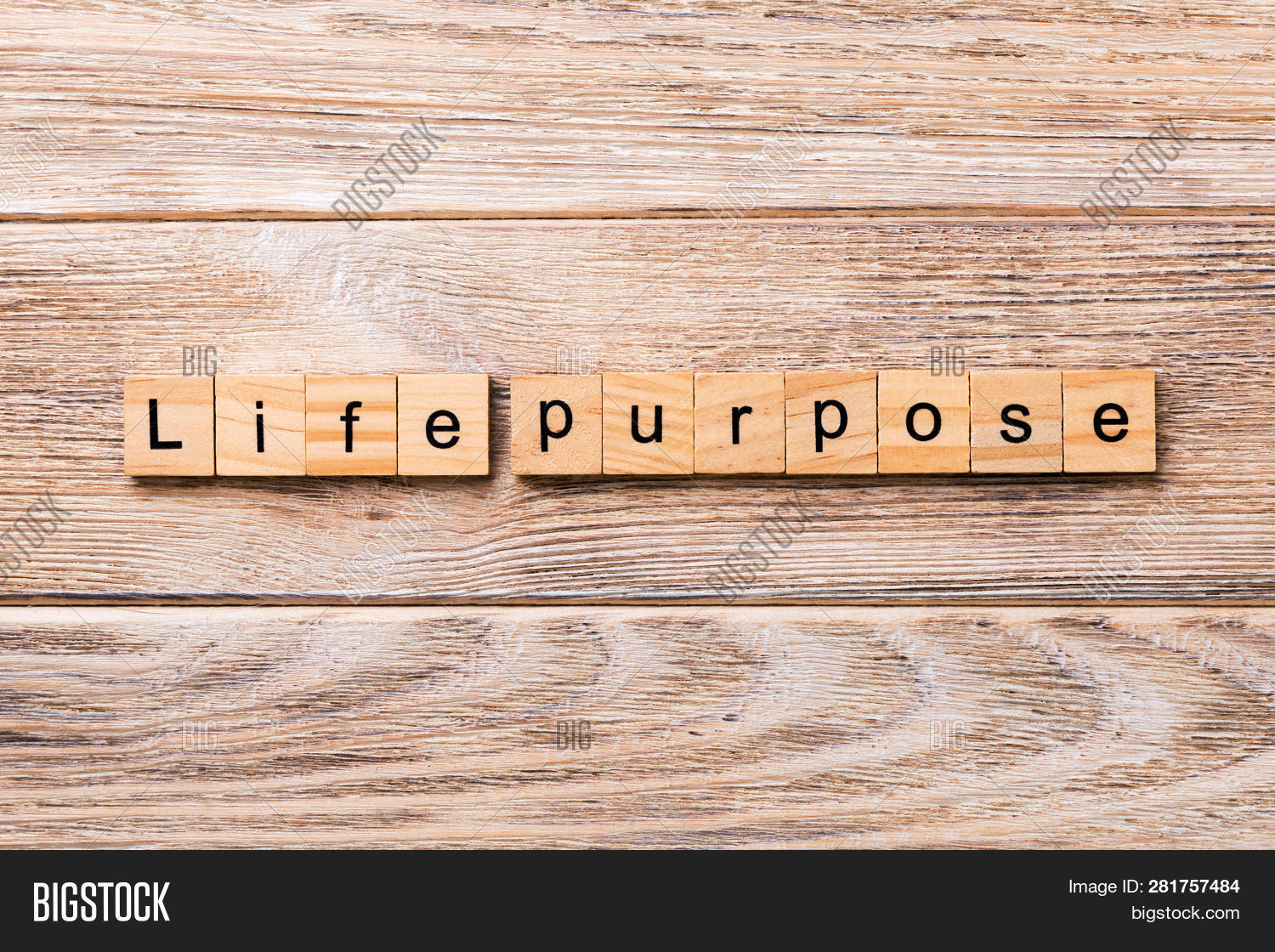 Words Live With Purpose