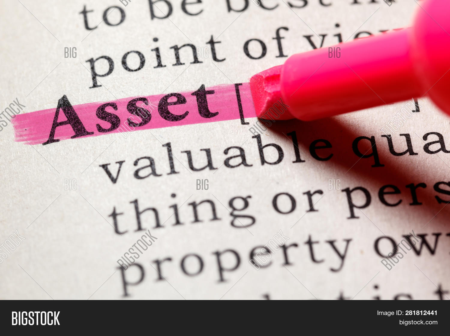 Fake Dictionary, Image & Photo (Free Trial) | Bigstock