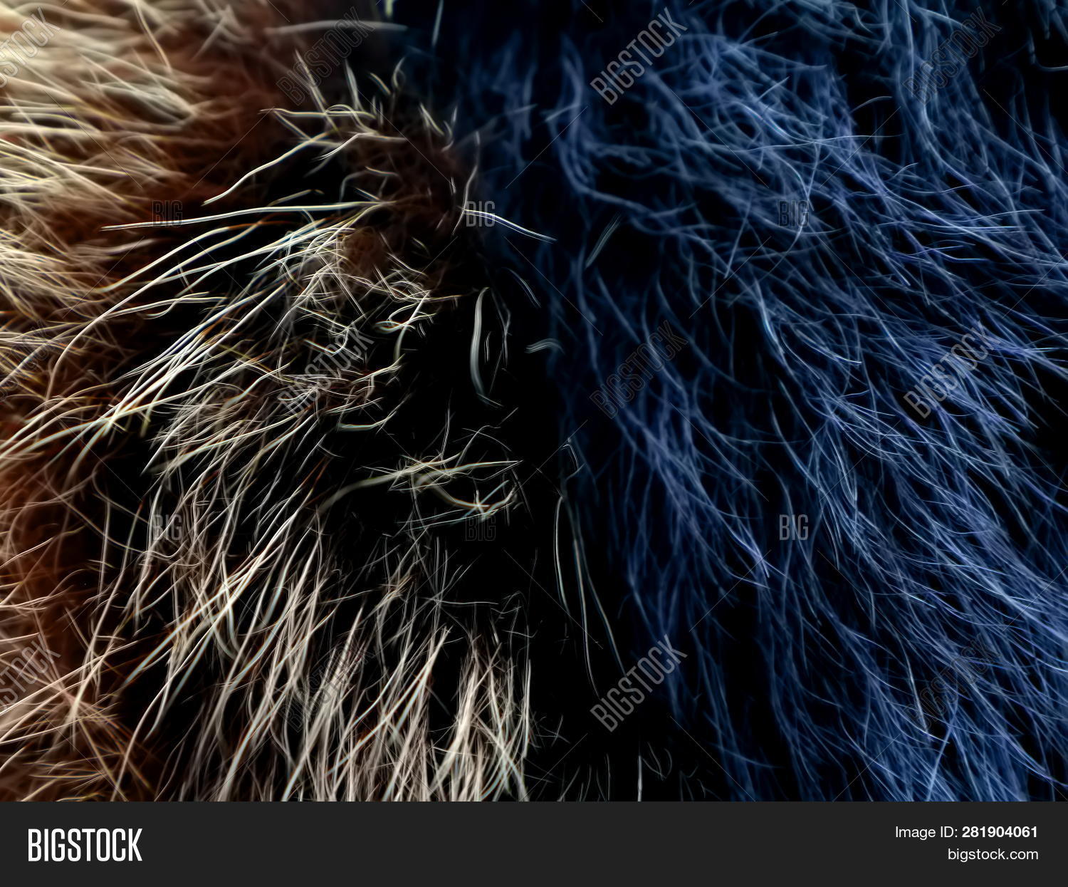 Texture Gray Wolf Hair Image & Photo (Free Trial) | Bigstock