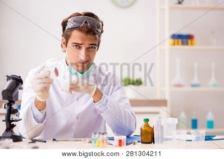 Male Entomologist Image & Photo (Free Trial) | Bigstock