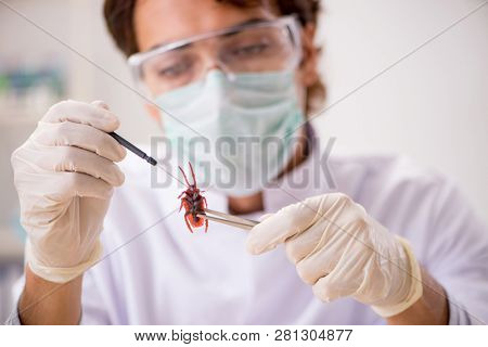 Male Entomologist Image & Photo (Free Trial) | Bigstock
