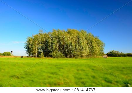Green Meadow, Copse Image & Photo (Free Trial) | Bigstock