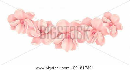 Vector Bali Flowers Vector & Photo (Free Trial) | Bigstock