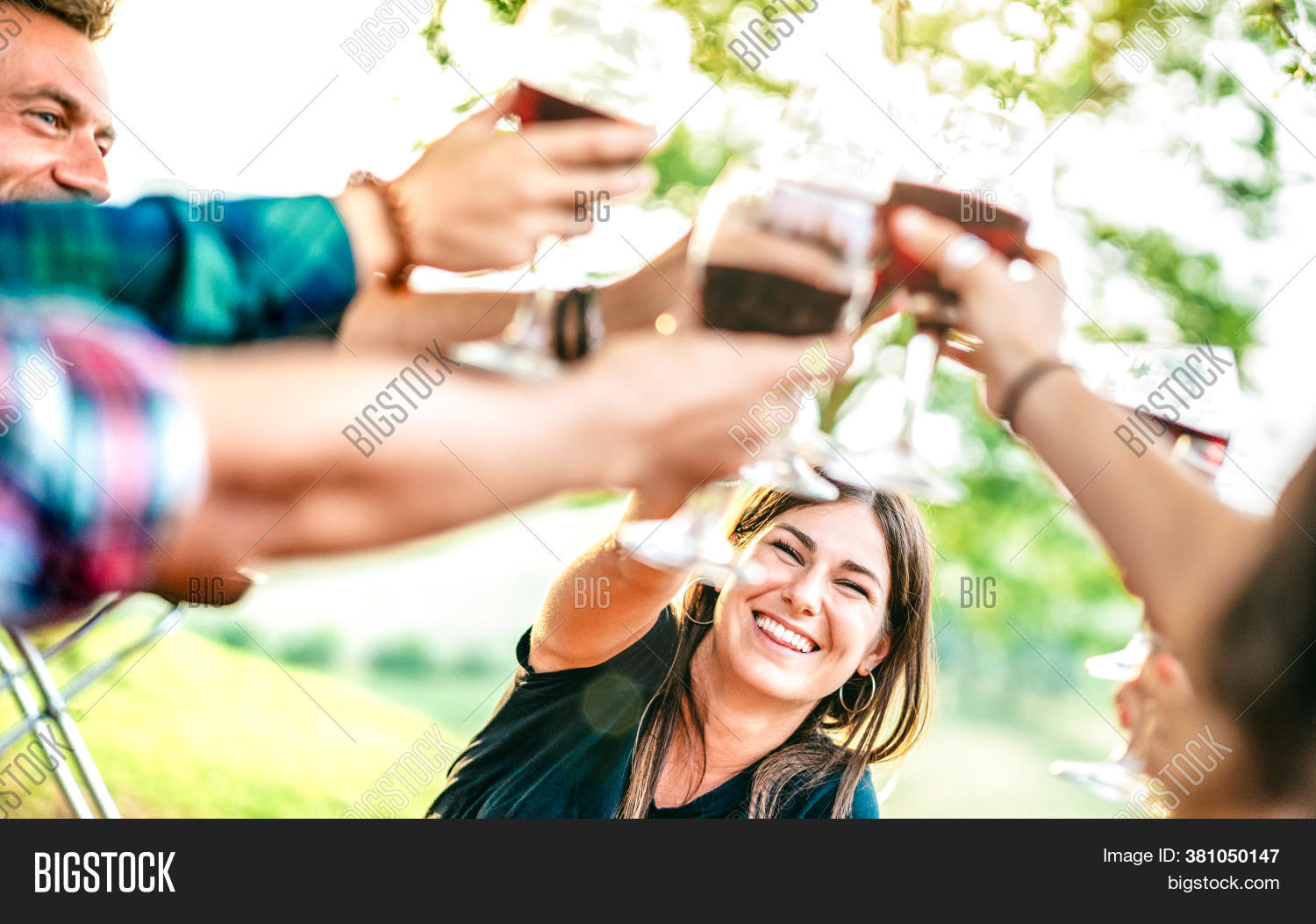 Hands Toast Red Wine Image & Photo (Free Trial) | Bigstock