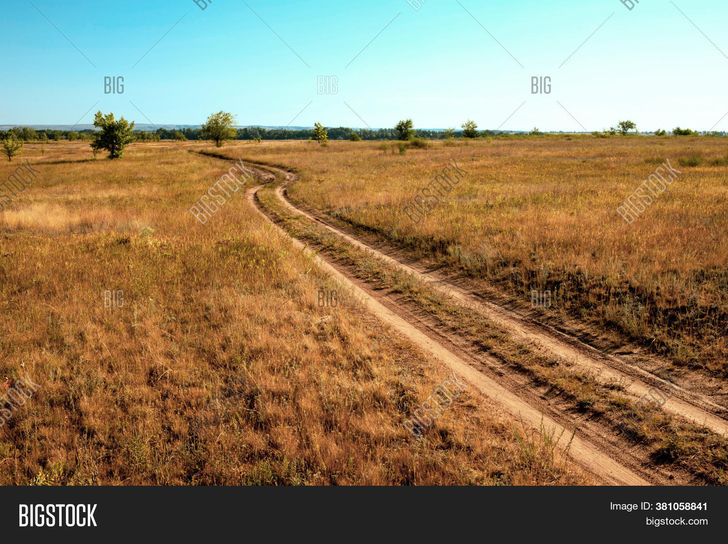 Summer Steppe Image & Photo (Free Trial) | Bigstock