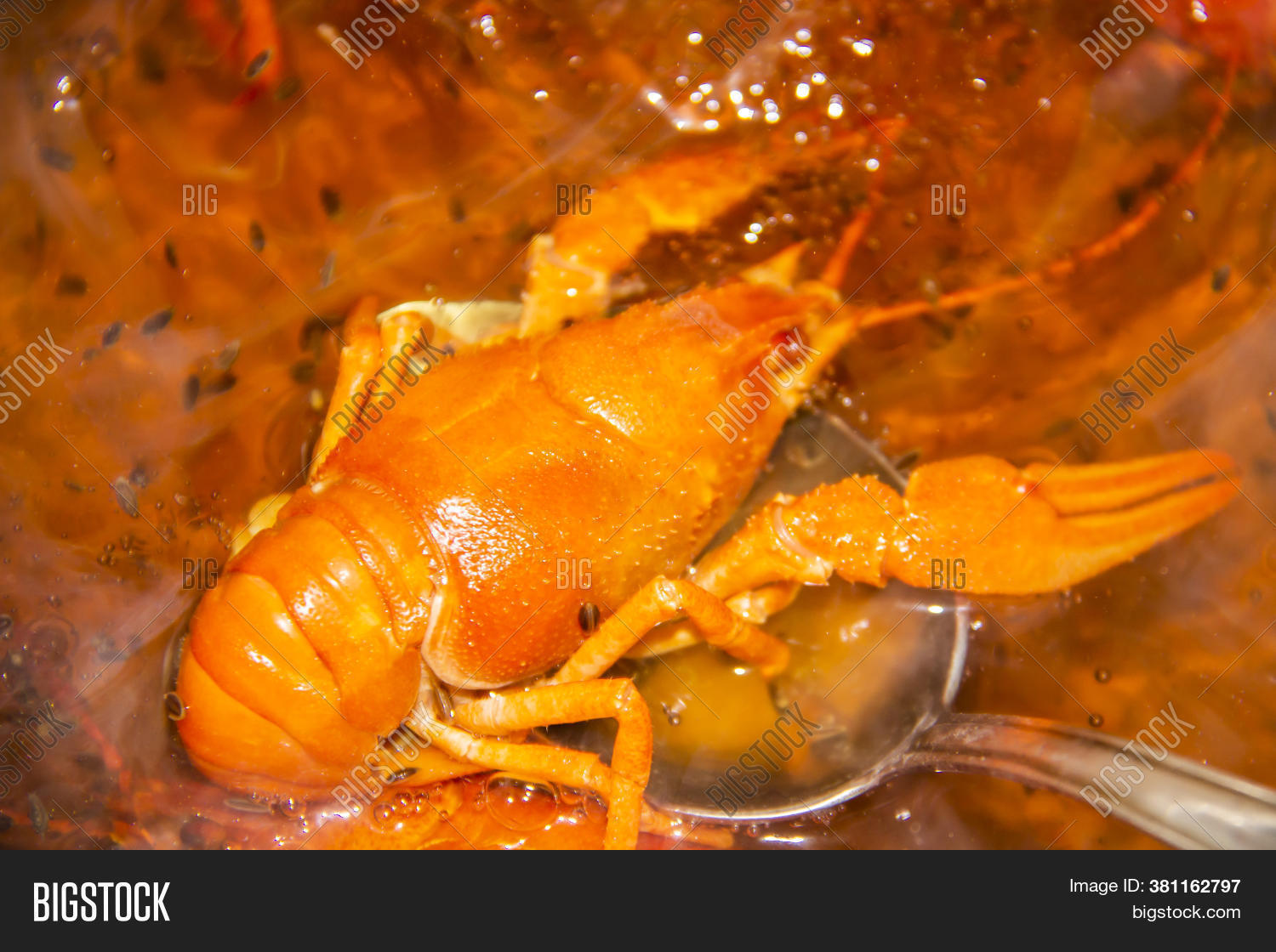 Boiled Crayfish Image & Photo (Free Trial) | Bigstock