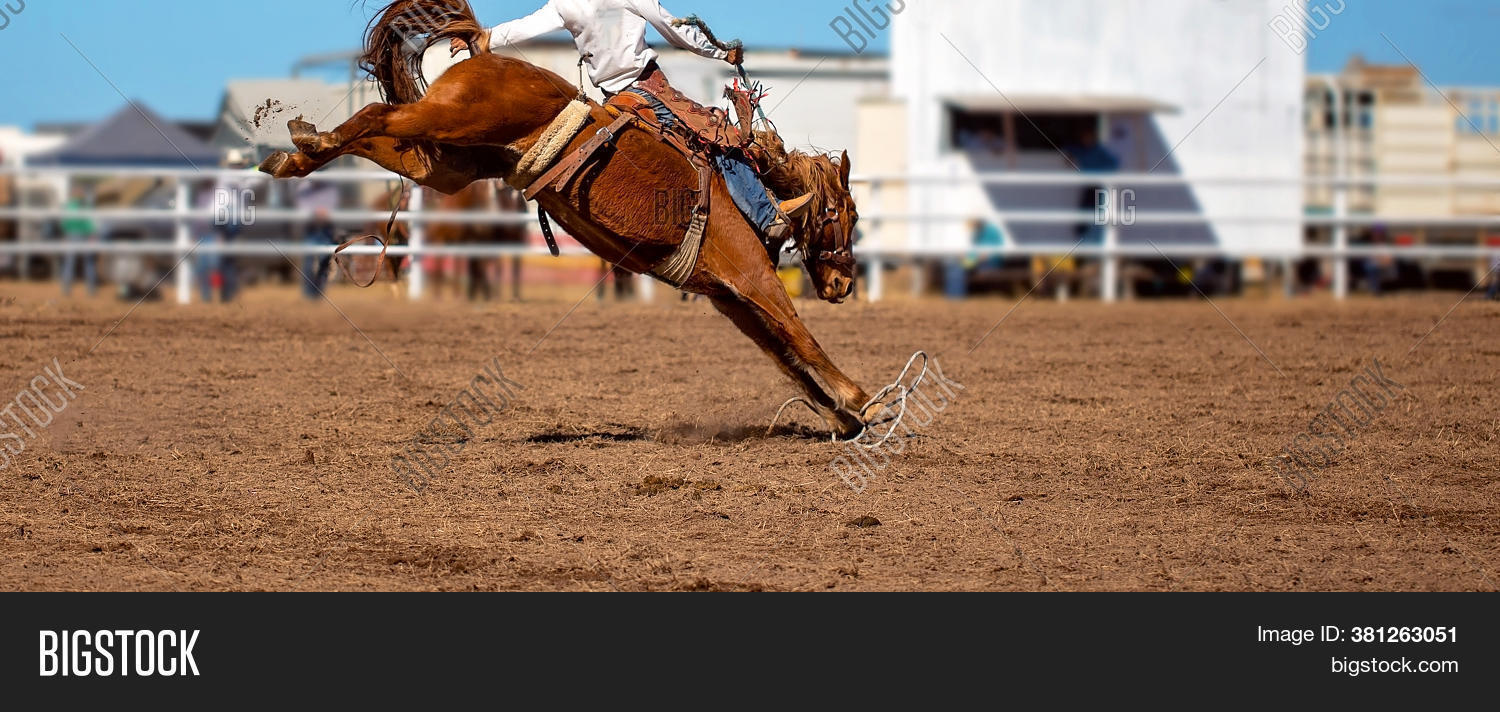 Cowboy Riding Bucking Image & Photo (Free Trial) | Bigstock
