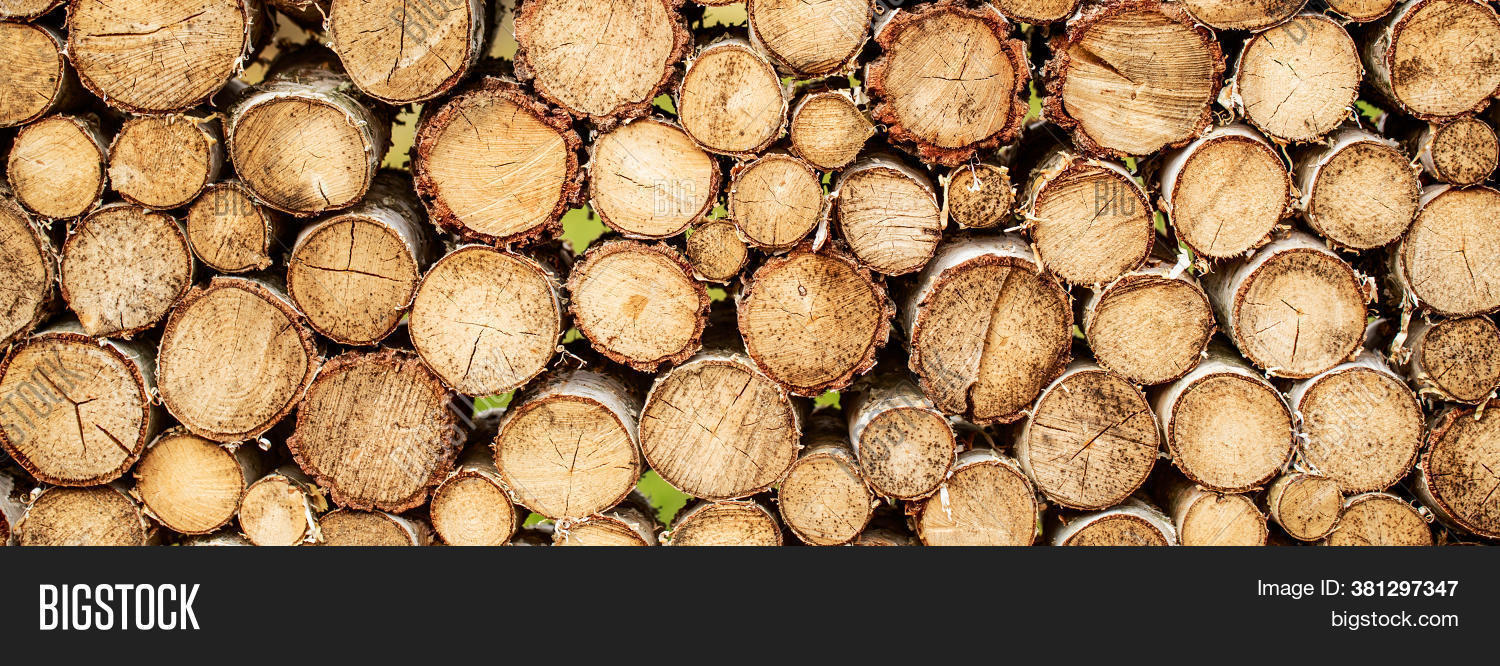 Round Teak Woods Trees Image & Photo (Free Trial) | Bigstock