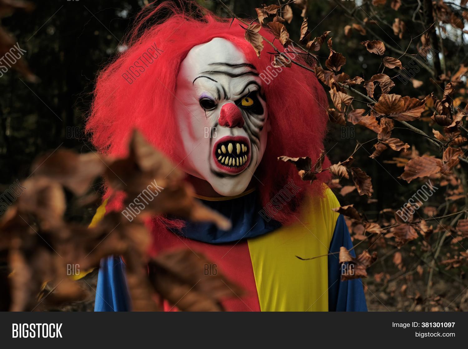 Halloween Holiday. Image & Photo (Free Trial) | Bigstock