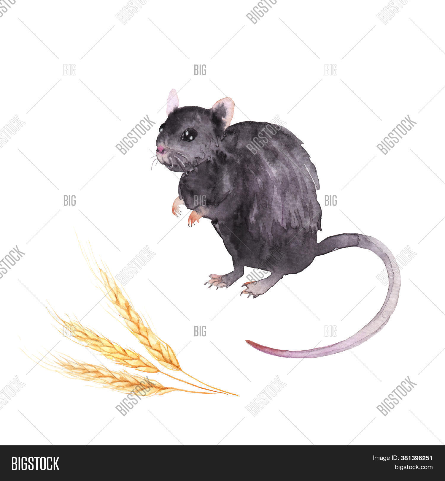 Watercolor Drawing Image & Photo (Free Trial) | Bigstock