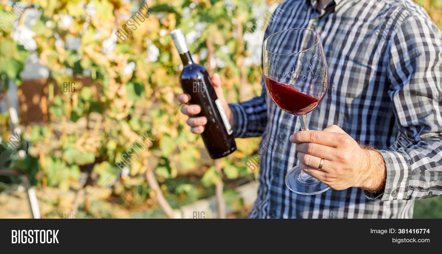 Handsome Wine Maker Image & Photo (Free Trial) | Bigstock