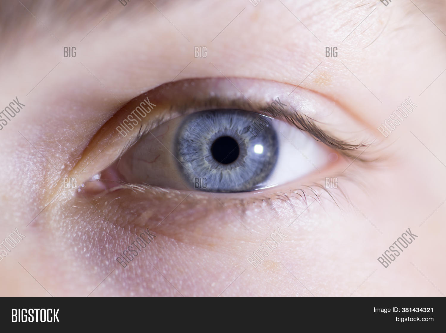 Close Blue Eye Iris Image & Photo (Free Trial) | Bigstock