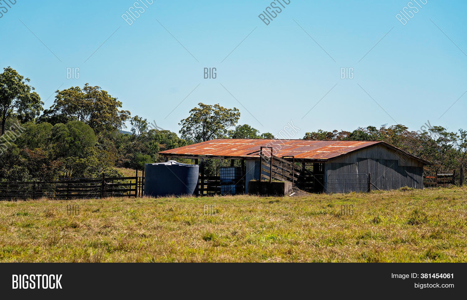 Old Run Down Cattle Image & Photo (Free Trial) | Bigstock