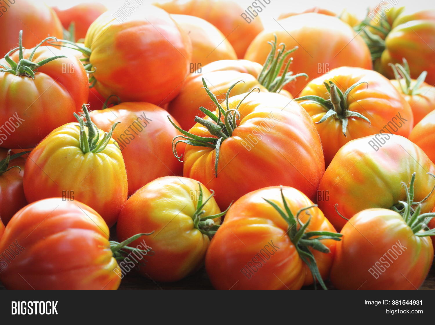 Fresh Heirloom Image & Photo (Free Trial) | Bigstock