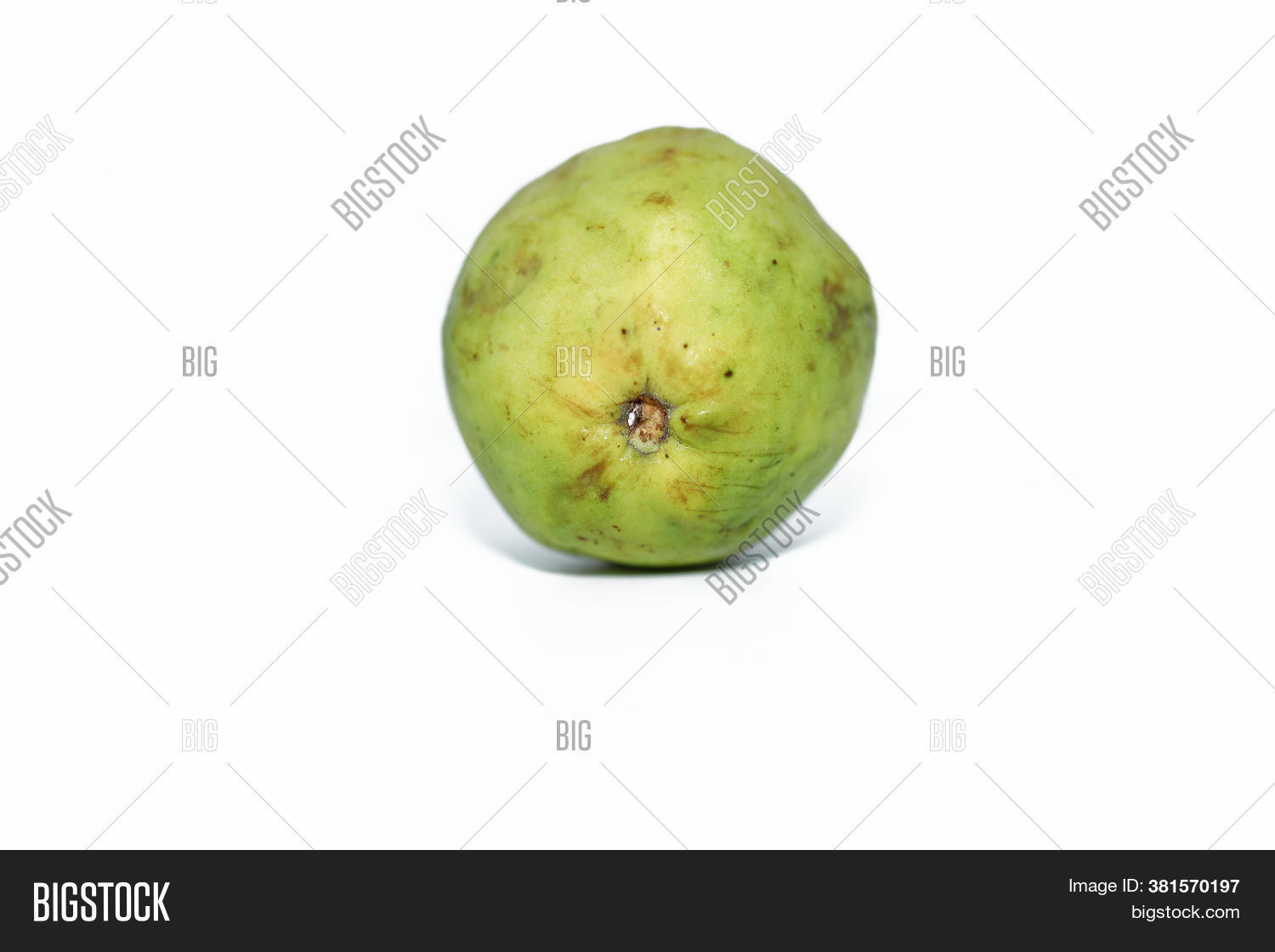 Guava (tropical Fruit Image & Photo (Free Trial) | Bigstock