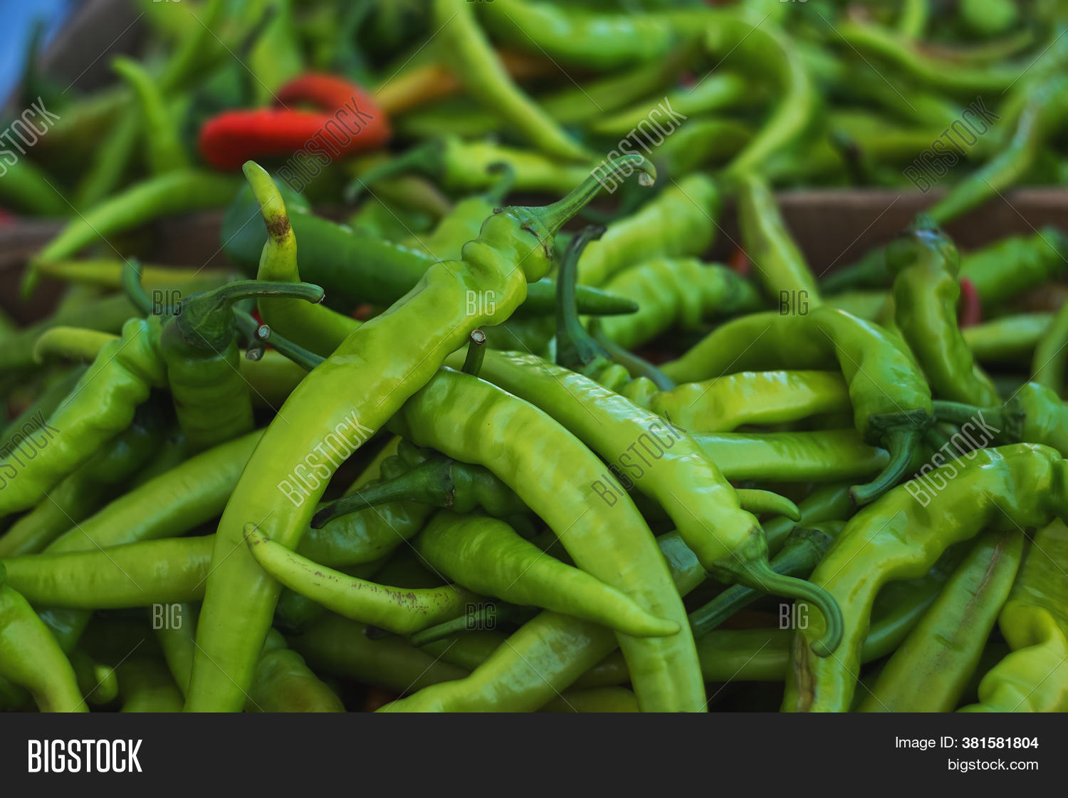 Fresh Green Whole Image & Photo (Free Trial) | Bigstock