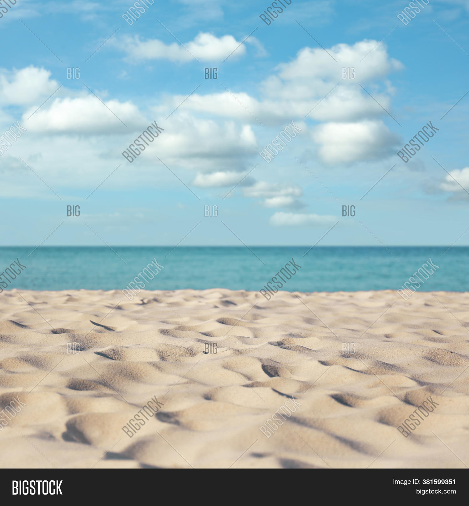 Sandy Beach Near Ocean Image & Photo (Free Trial) | Bigstock