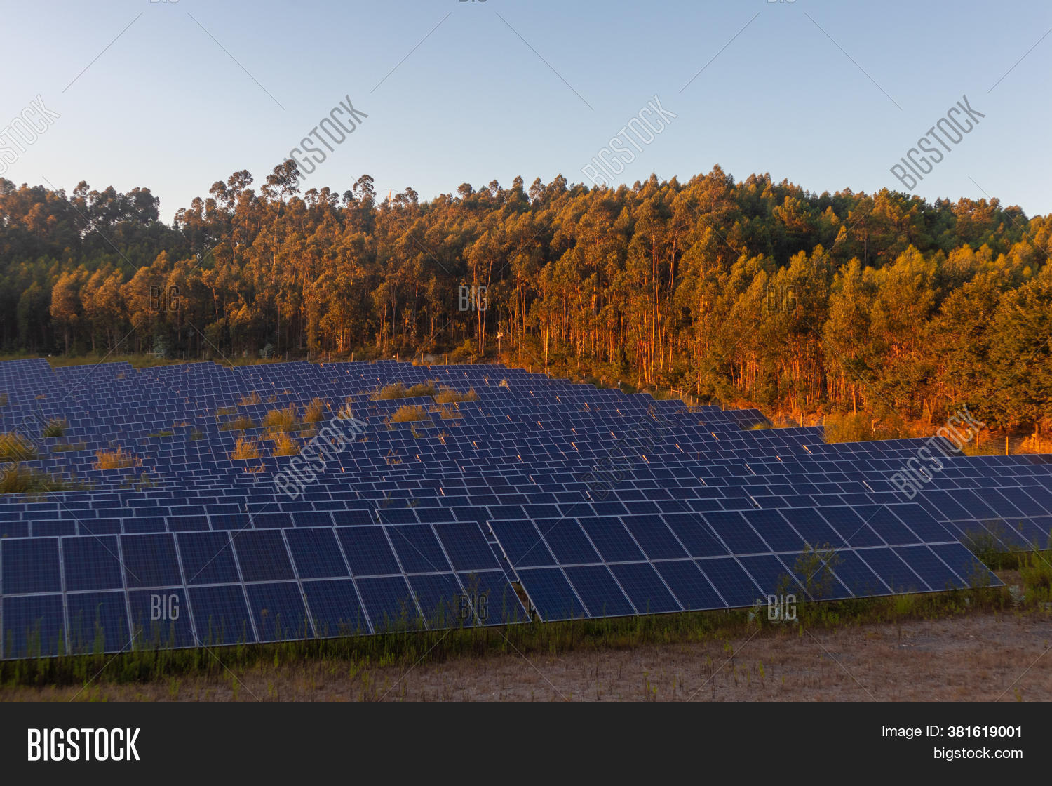 Group Solar Panels Image & Photo (Free Trial) | Bigstock