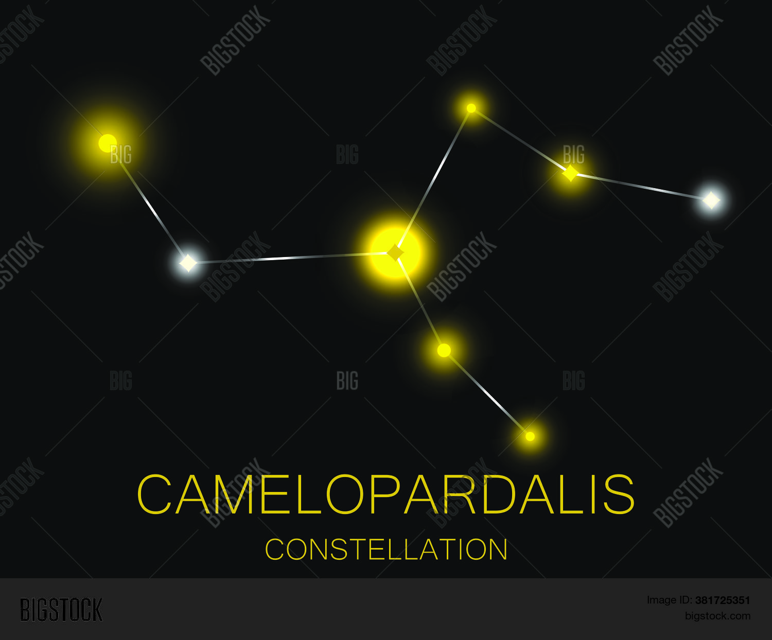 Camelopardalis Vector & Photo (Free Trial) | Bigstock