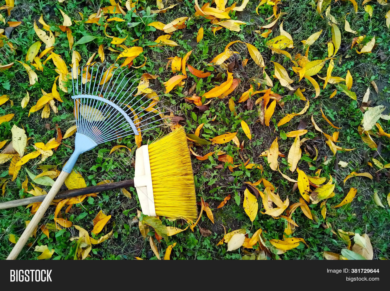 Rake Broom Lying On Image & Photo (Free Trial) | Bigstock
