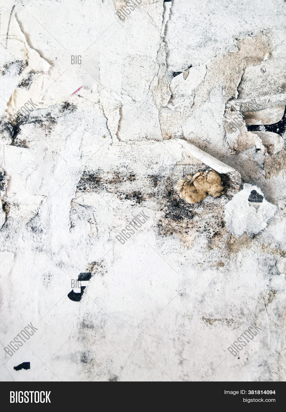 Old Grunge Ripped, Image & Photo (Free Trial) | Bigstock