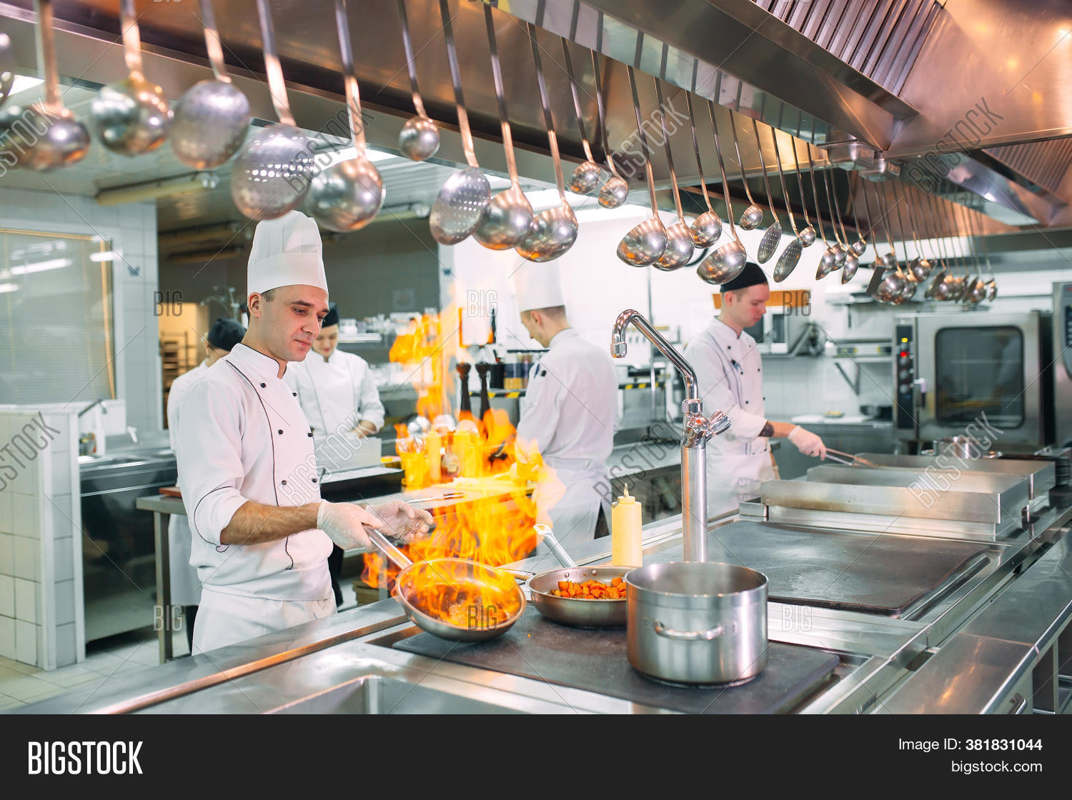 Modern Kitchen. Cooks Image & Photo (Free Trial) | Bigstock