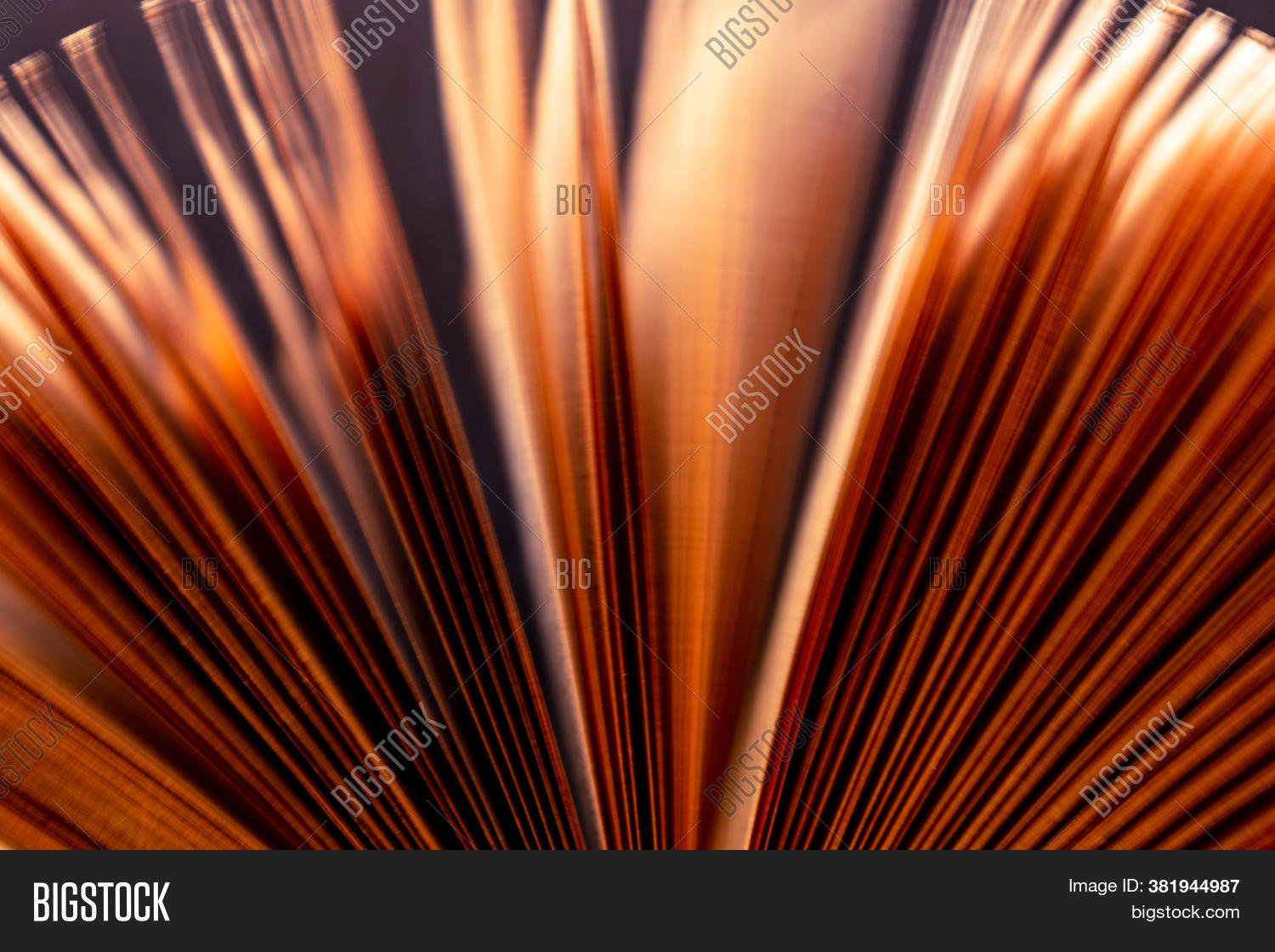 Book Pages Fanned Due Image & Photo (Free Trial) | Bigstock