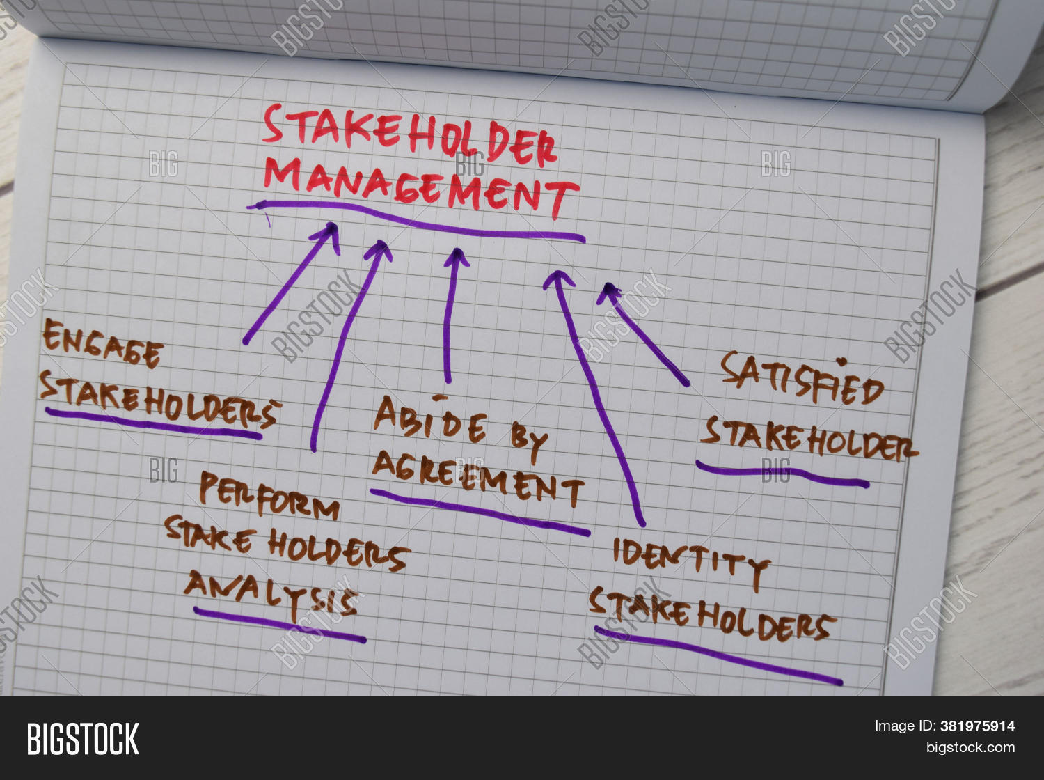 Stakeholder Management Image & Photo (Free Trial) | Bigstock
