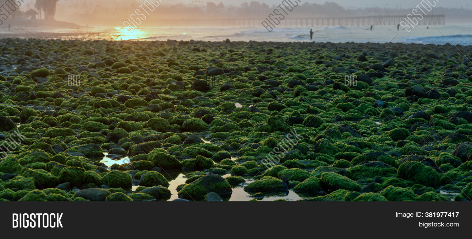 Extreme Low Tide On Image & Photo (Free Trial) | Bigstock