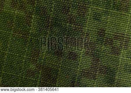 Green Military Texture Image & Photo (Free Trial) | Bigstock