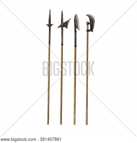 Set Different Types Image & Photo (Free Trial) | Bigstock