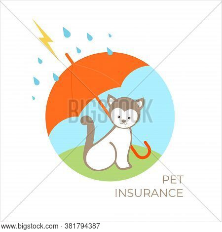 Pet Insurance Concept Vector & Photo (Free Trial) | Bigstock