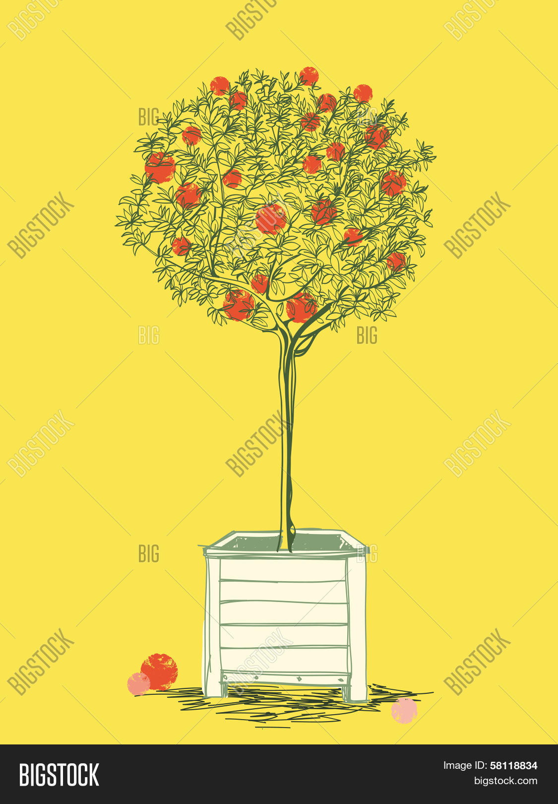 Sketch Orange Tree Vector & Photo (Free Trial) | Bigstock
