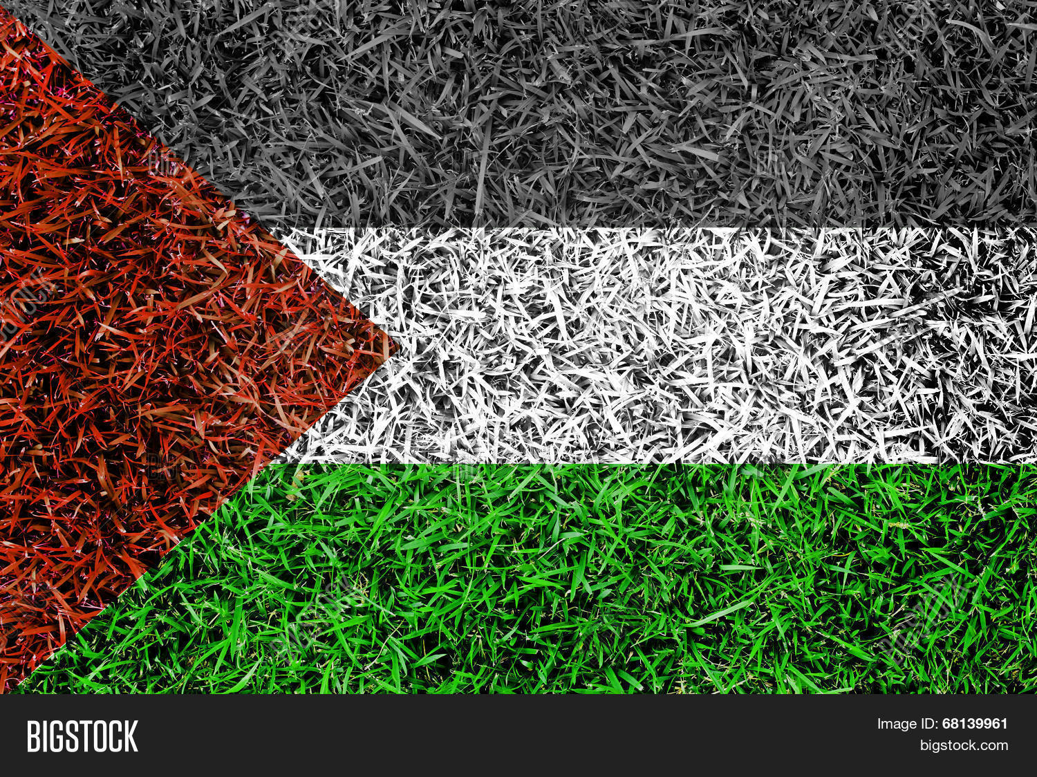 Palestine Flag Color Image & Photo (Free Trial) | Bigstock