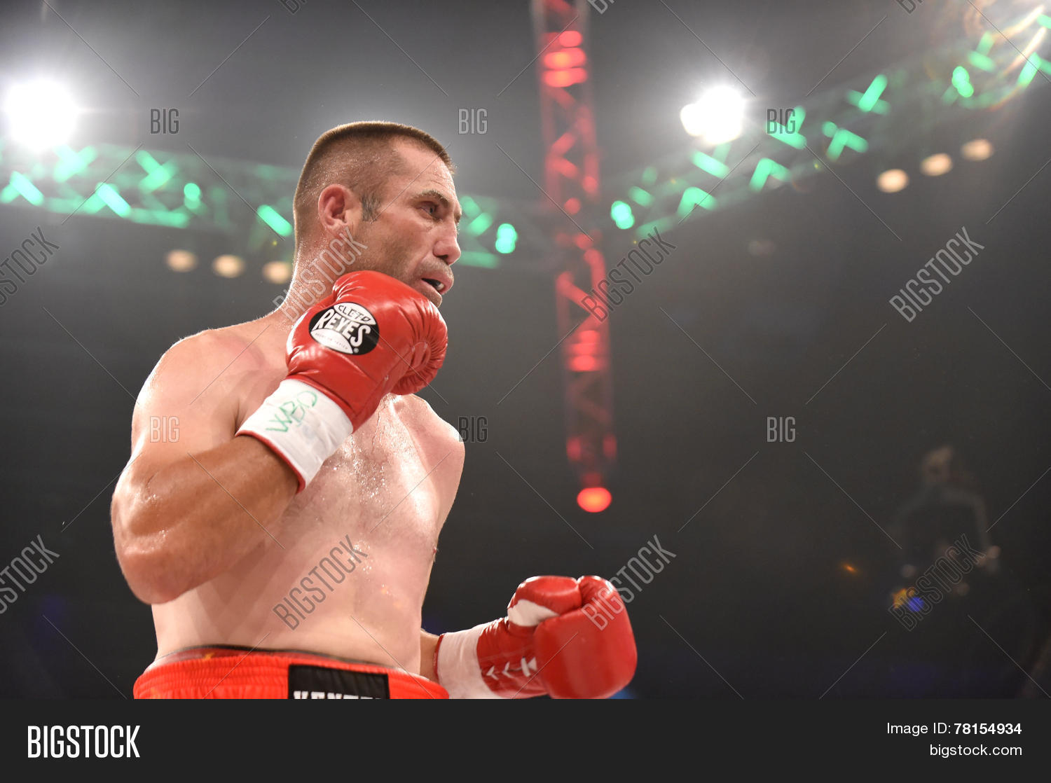 Danie Venter, Boxer Image & Photo (Free Trial) | Bigstock