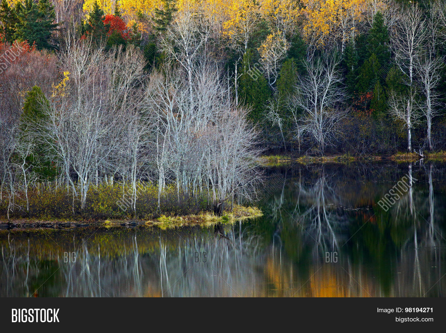 Fall Foliage Water Image & Photo (Free Trial) | Bigstock
