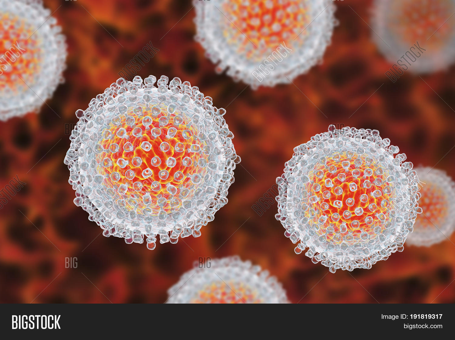 Hepatitis C Virus Image & Photo (Free Trial) | Bigstock