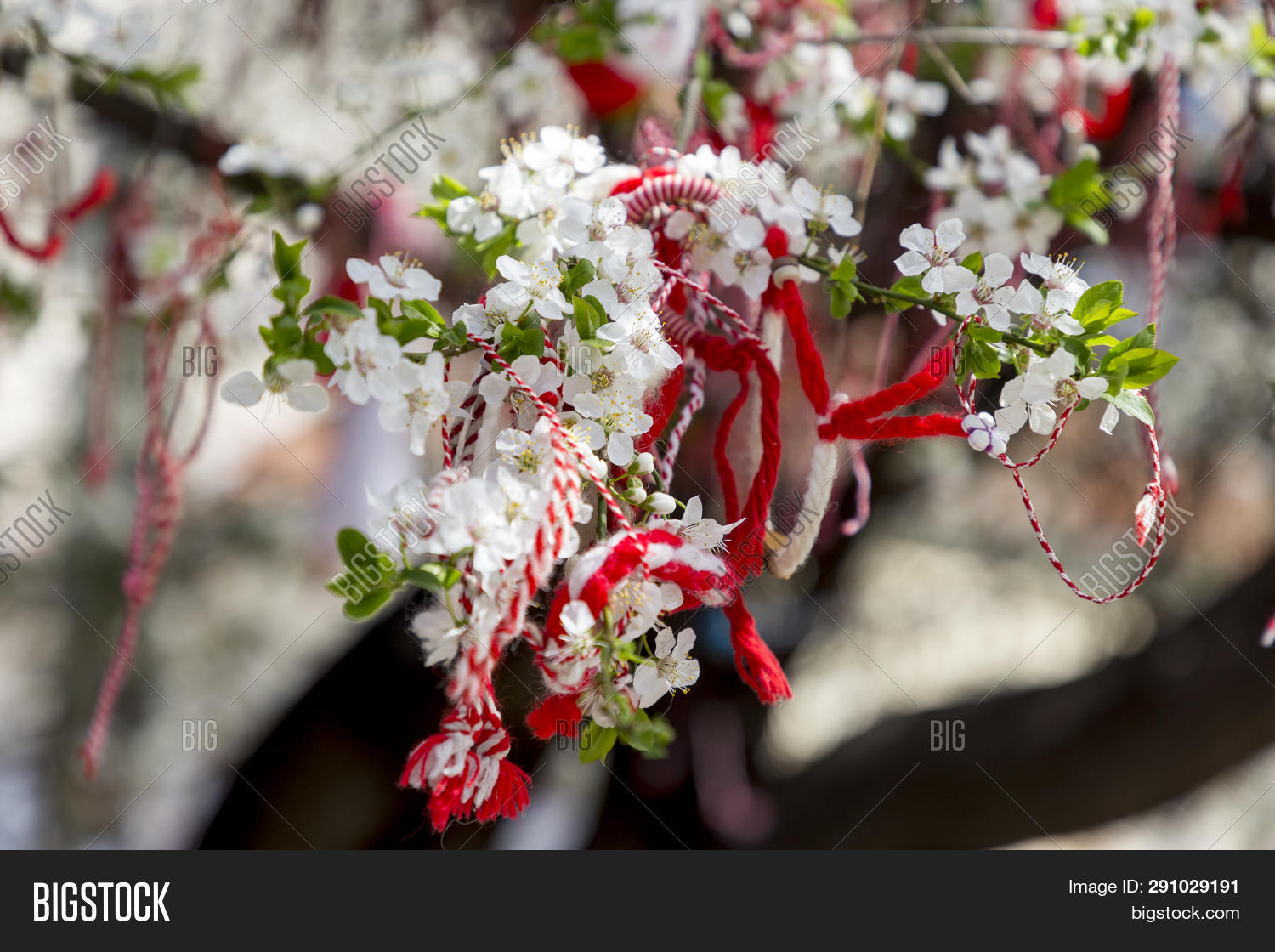 Martenitsa Image & Photo (Free Trial) | Bigstock