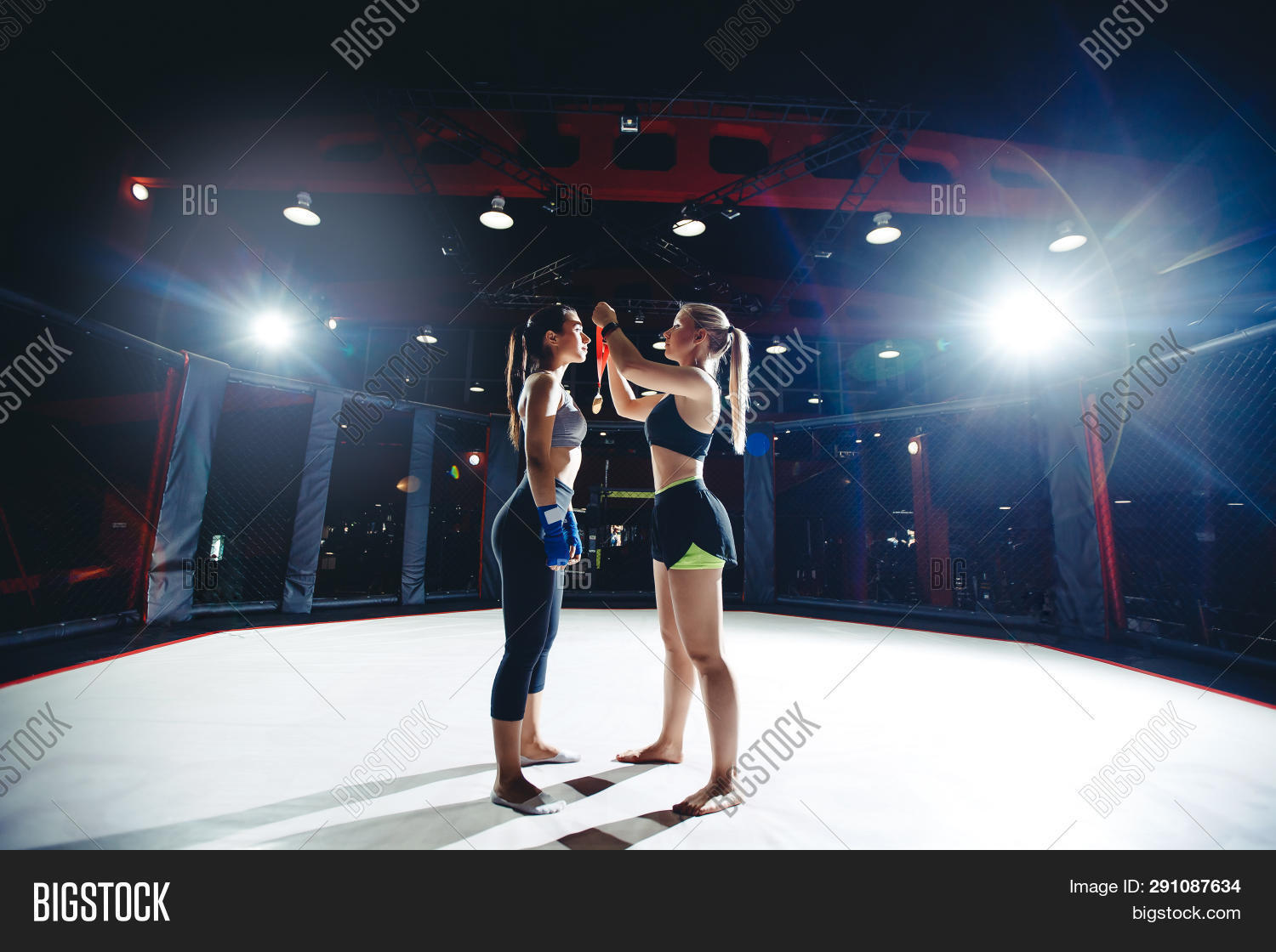 Winner Training Boxing Image & Photo (Free Trial) | Bigstock